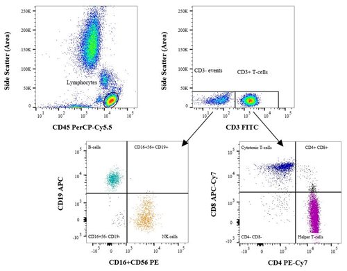 Проточна цитофлуориметрія EXBIO – Albamed